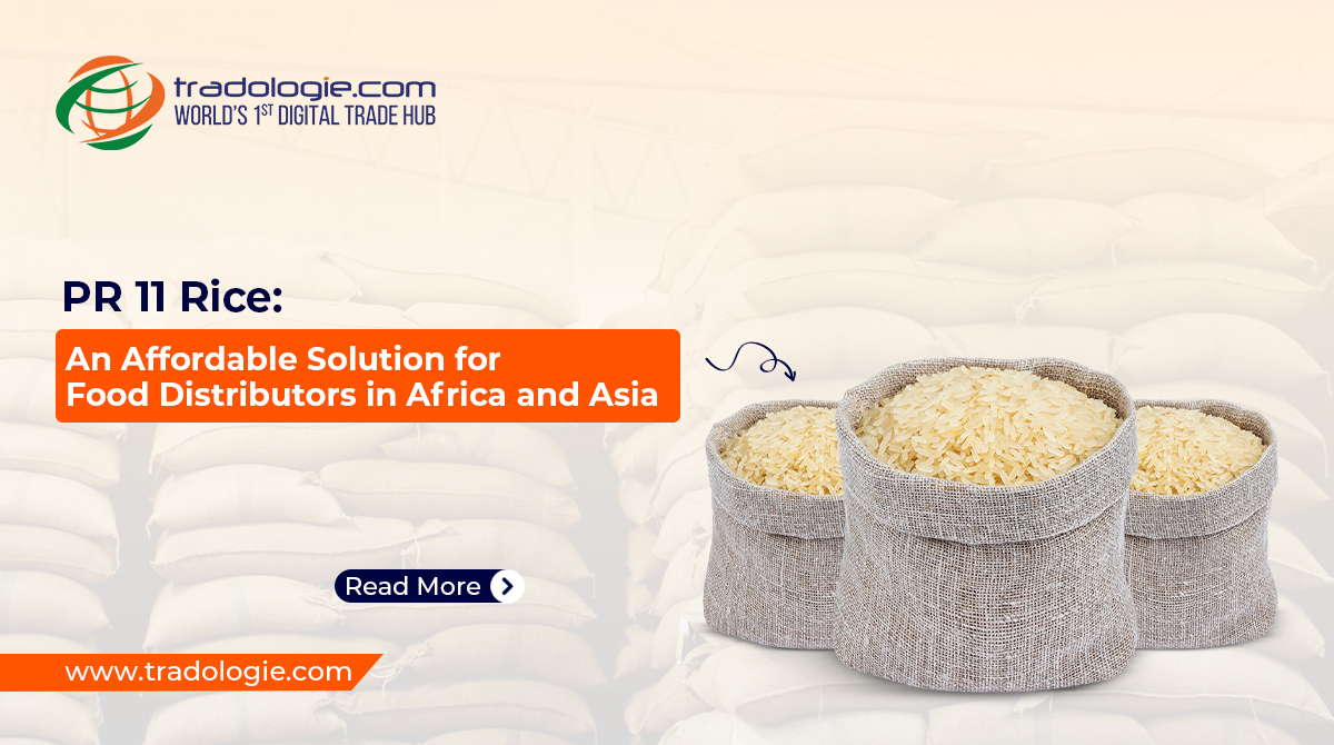 PR 11 Rice Exporters | Bulk Supply for Global Distributors