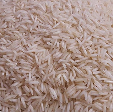 Buy Bulk 1509 Basmati Rice Online Directly From Rice Mills